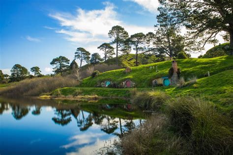 Desde Auckland Excursión de un día a Hobbiton y las cuevas de Waitomo