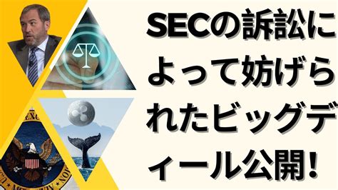 Ripple CTO David SchwartzSECの訴訟によって妨げられたビッグディール公開 BTC XRP xrp リップル
