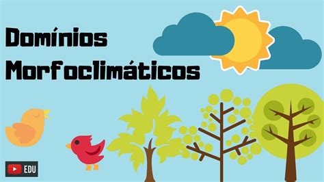 Diferença Entre Bioma E Dominio Morfoclimatico