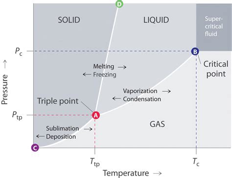 How To Read Concentration In Phase Diagrams Features Of Phas