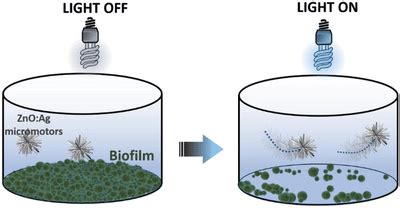 Selfpropelled ZnO Ag Micromotors For Bacterial Biofilm Eradication In
