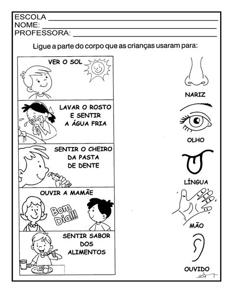 Atividades sobre Órgãos dos Sentidos para Educação Infantil