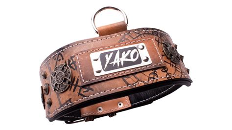 Collar Para Perro Personalizado YouTube