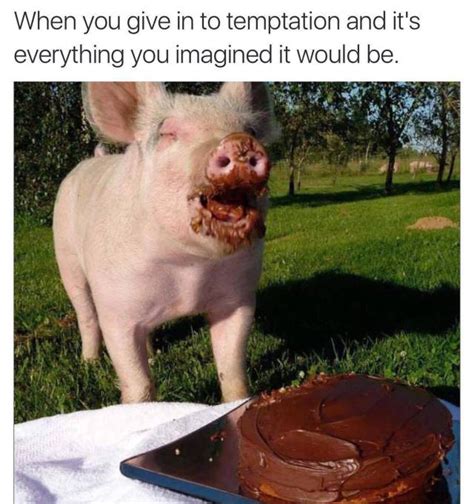 Amusing Memes To Make You Laugh Out Loud Pics Izismile