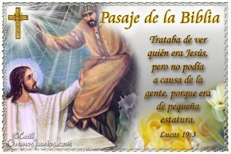 Vidas Santas Santo Evangelio según san Lucas 19 3