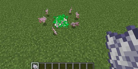 マイクラサクラの木の入手方法や使いみち花びらについて ひきこもろん