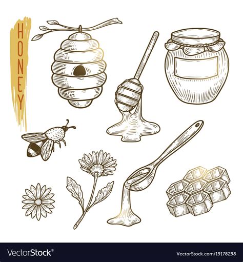 Set Of Honey Elements Sketch Of Sweet Royalty Free Vector