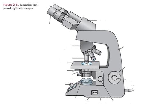 CLIN BACTERIOLOGY LAB 1 MICROSCOPE Diagram Quizlet