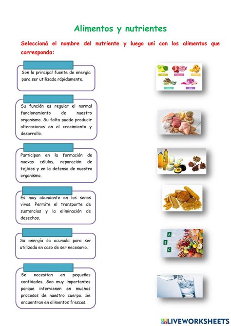 Ejercicio Online De Alimentos Y Nutrientes