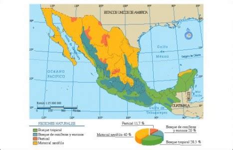 Mapas Regiones Naturales Mexico Mapas México y Latinoamerica