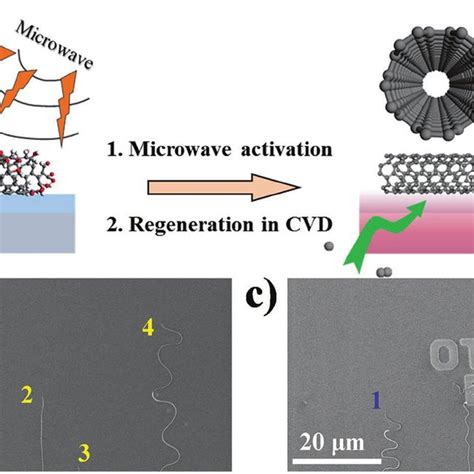PDF Microwave Assisted Regeneration Of Single Walled Carbon Nanotubes