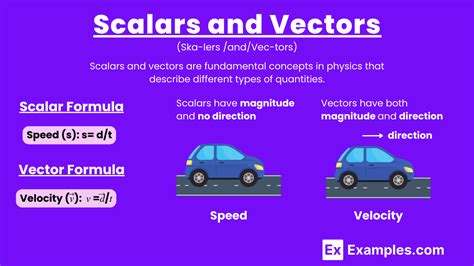Scalars And Vectors Examples Differences Properties