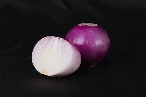 Purple Onion PNG Image Purple Onion Vegetables Fruit Onion Clipart