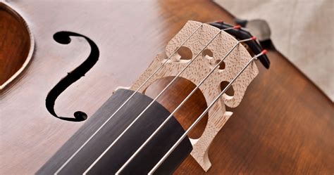 A Beginners Guide To Cello Tuning Caswell S Strings Uk