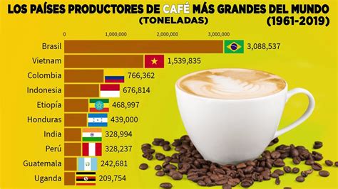 Los Pa Ses Productores De Caf M S Grandes Del Mundo Youtube
