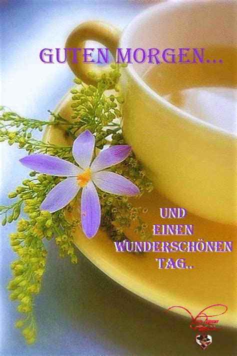 ᐅ Guten morgen bilder portugiesisch 7 GBPicsBilder
