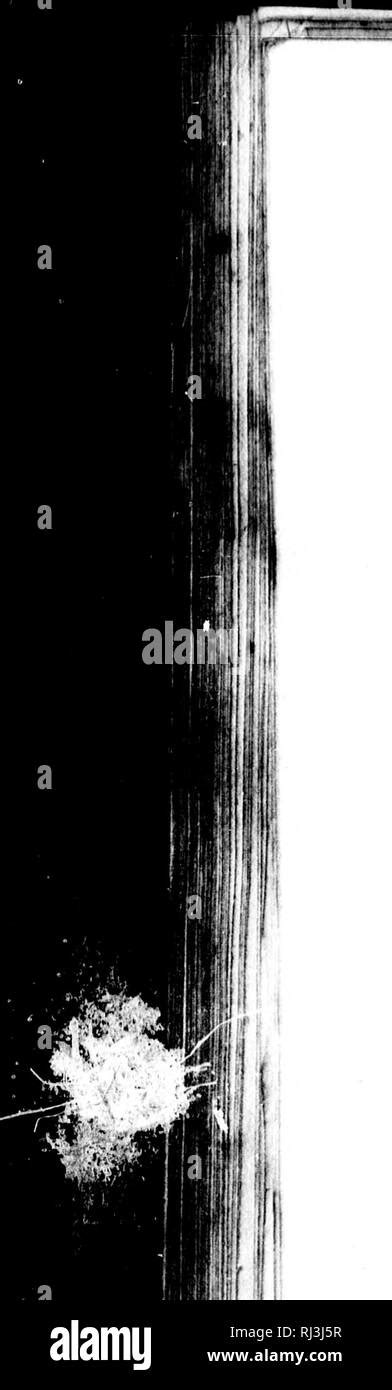 Noticias americanas microform entretenimientos fisicohistó Ricos