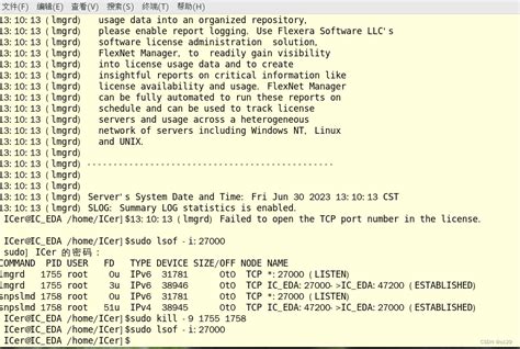 synopsys eda tools安装和使用过程中出现的问题及解决方法 snpslmd no valid hostids exiting csdn博客