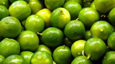 Precio del limón sube a más de 15 soles el kilo por qué sigue alto