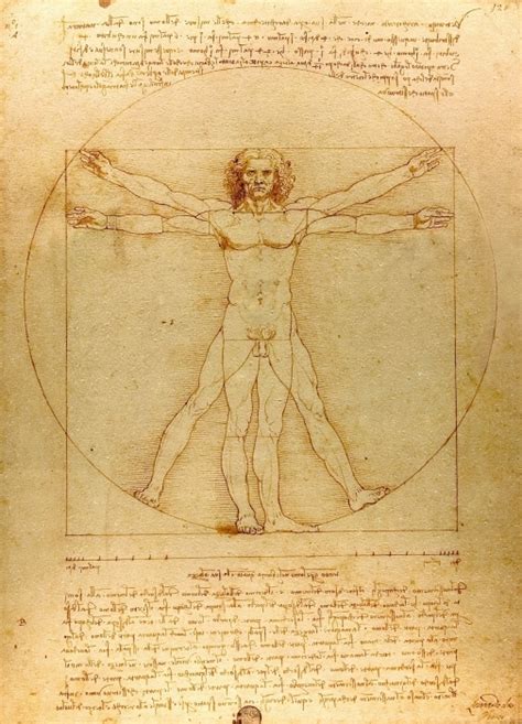 Vinilo Pixerstick Leonardo Da Vinci Hombre De Vitruvio Pixers Es