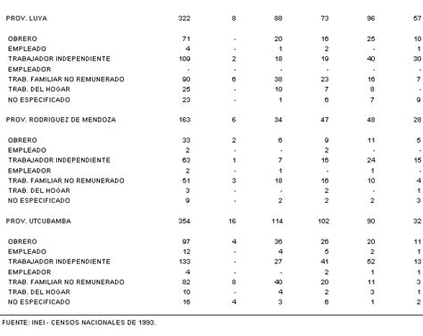 PERU INEI PERFIL SOCIODEMOGRAFICO DEPARTAMENTO DE AMAZONAS