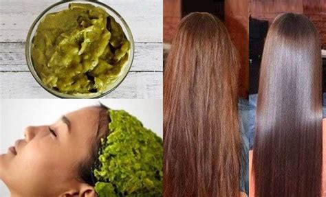 Deja de lucir un cabello opaco y descubre cómo darle vida y brillo con