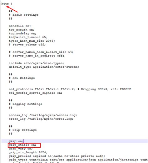 How To Enable Gzip On Nginx Servers Themify