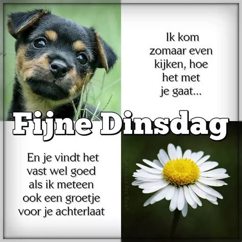 61 Dinsdag Plaatjes Met Berichten En Citaten Beste Krabbels Dinsdag