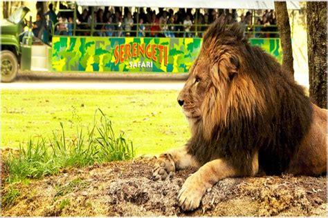 Bioparque Estrella guía completa 2023