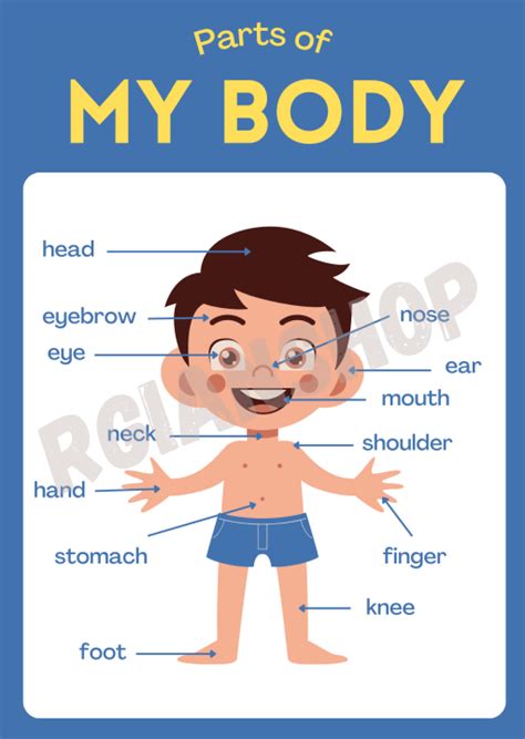 BODY PARTS LAMINATED EDUCATIONAL CHART TAGALOG A4 SIZE THICK Lazada PH