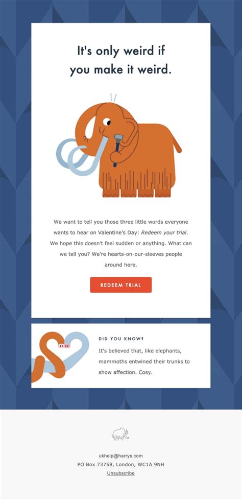 Promotional Emails Examples Ideas Best Practices Updated