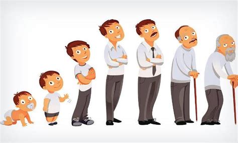 Ciclo De La Vida De Las Personas Ciclo De De La Ciclo De Vida
