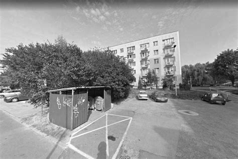 D Zw Oki Noworodka Znalezione Na Wietniku Ch Opiec Mia Uraz