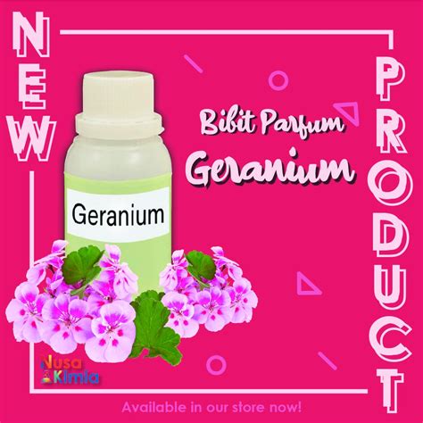 Jual Bibit Parfum GERANIUM Biang Parfum Bunga Geranium Geranium