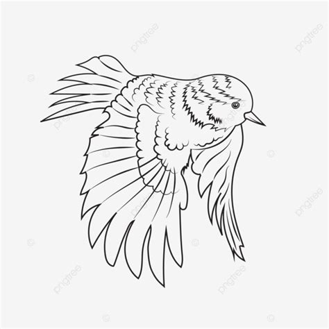 Pájaros Voladores Para Colorear Para Niños