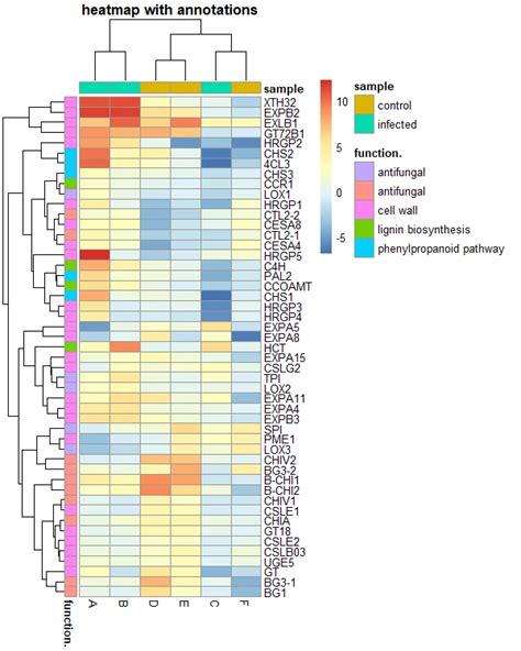 Pheatmap Create Annotated Heatmaps In R Detailed Guide