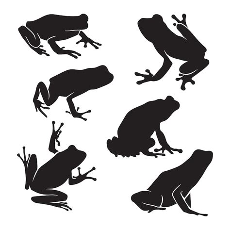 Ilustración vectorial silueta de rana dibujada a mano Vector Premium