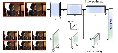 slowfast networks for video recognition 知乎