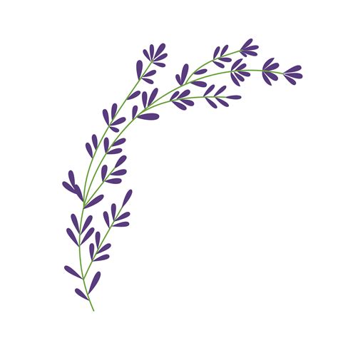 Thyme Plant Hand Drawn Illustration 17744444 PNG