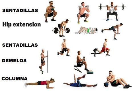Cómo ganar masa muscular Los mejores ejericios y dieta efectiva