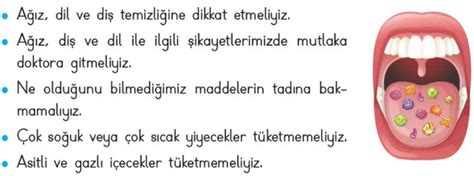 3 Sınıf Duyu Organları ve Görevleri Konu Anlatımı Beş Duyumuz Etkinlikler