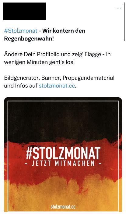 The Stolzmonat A German Language Far Right Countercampaign Against