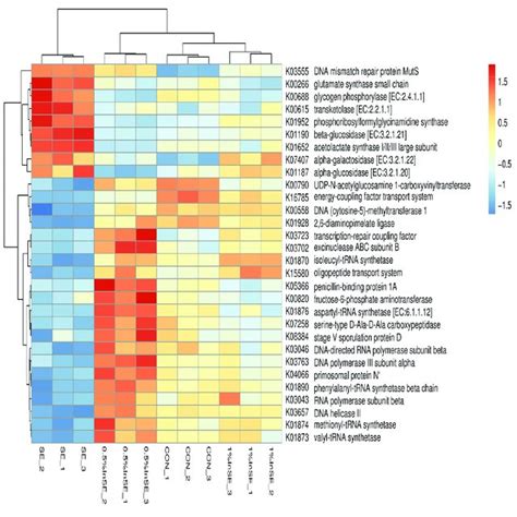 Hierarchical Clustering Analysis And Heat Map Analysis Of Relative