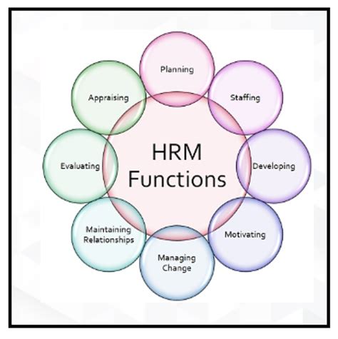 Shell Oil Human Resources Strategic Leadership