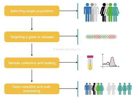 how genetic screening is done genetic education