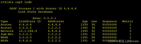 ospf四类，五类和七类lsa详解 4类lsa csdn博客