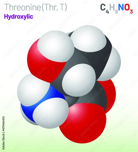 Threonine Thr T Amino Acid Molecule Chemical Formula C4H9NO3 Ball