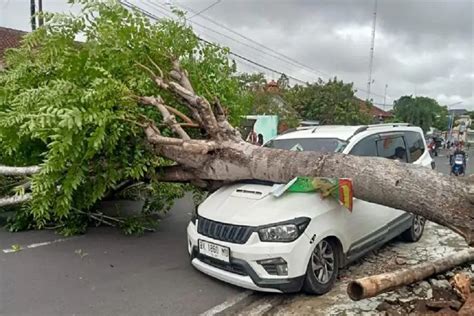 Karanganyar Dilanda Angin Kencang Satu Mobil Tertimpa Pohon