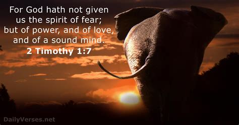Timothy Bible Verse Kjv Dailyverses Net