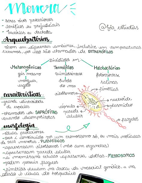 Mapa Mental Sobre Reino Monera Maps Study